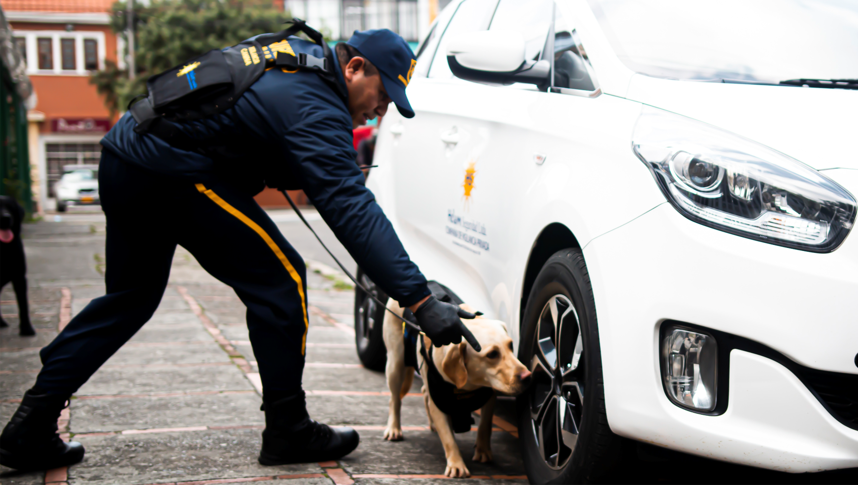 Servicios – Helam Seguridad